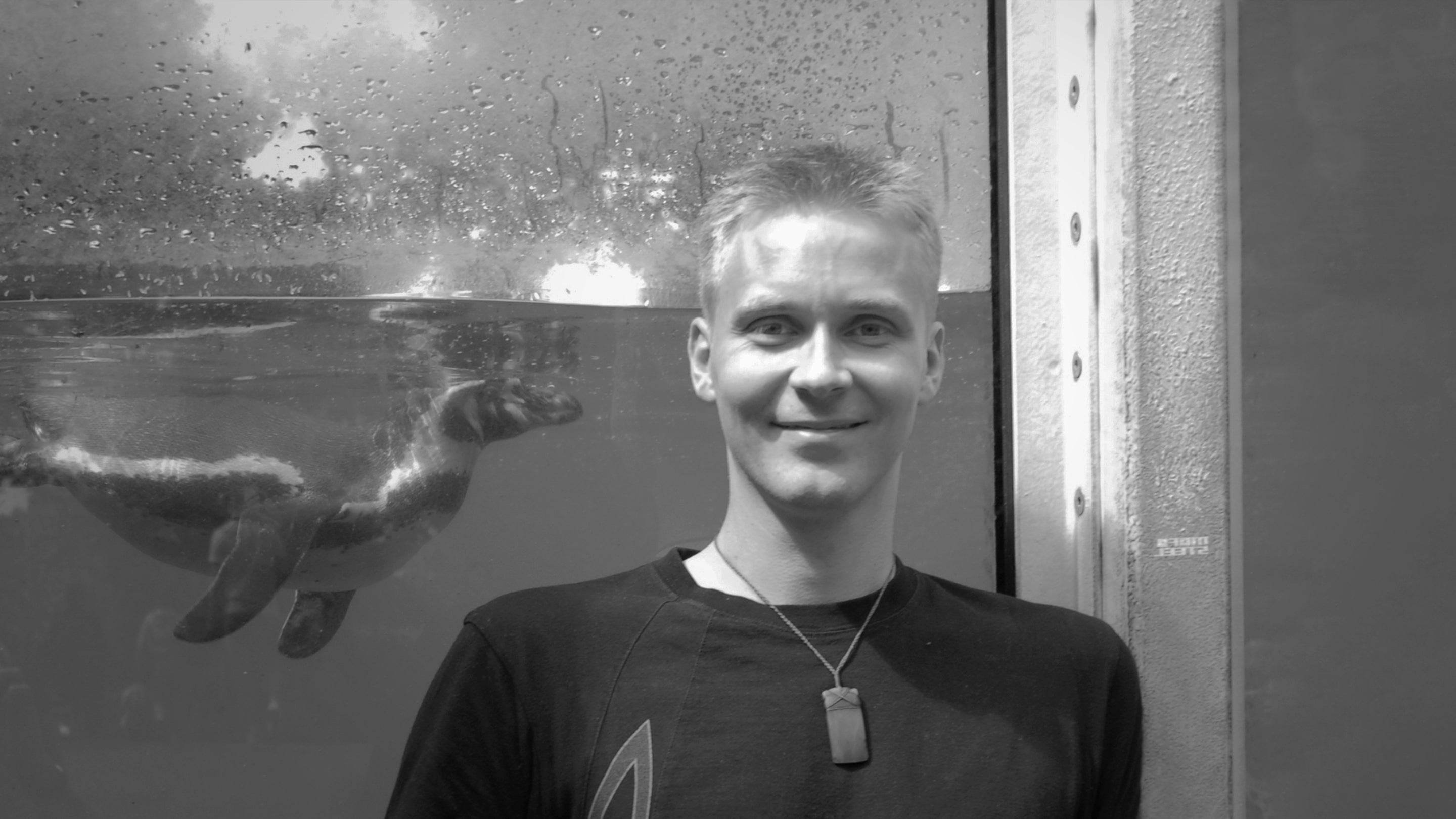 Anders Martin Brunn – トロールビーズ